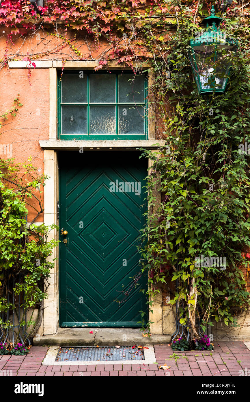 Autumn ivy leaves covering wall of the building Stock Photo - Alamy
