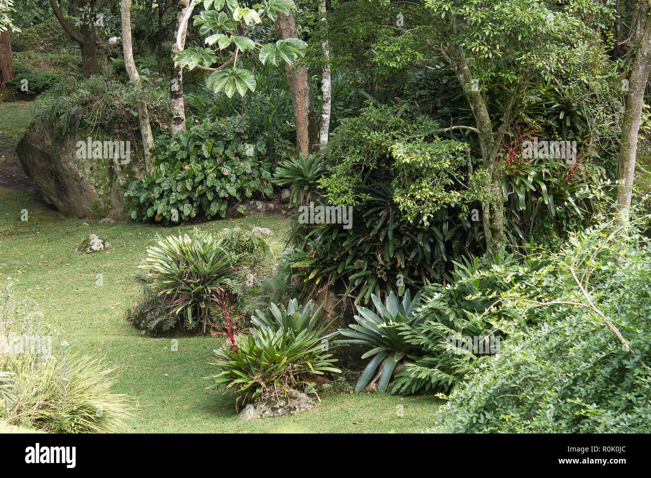 Garden view with mounds, plants, rocks and trees Stock Photo - Alamy