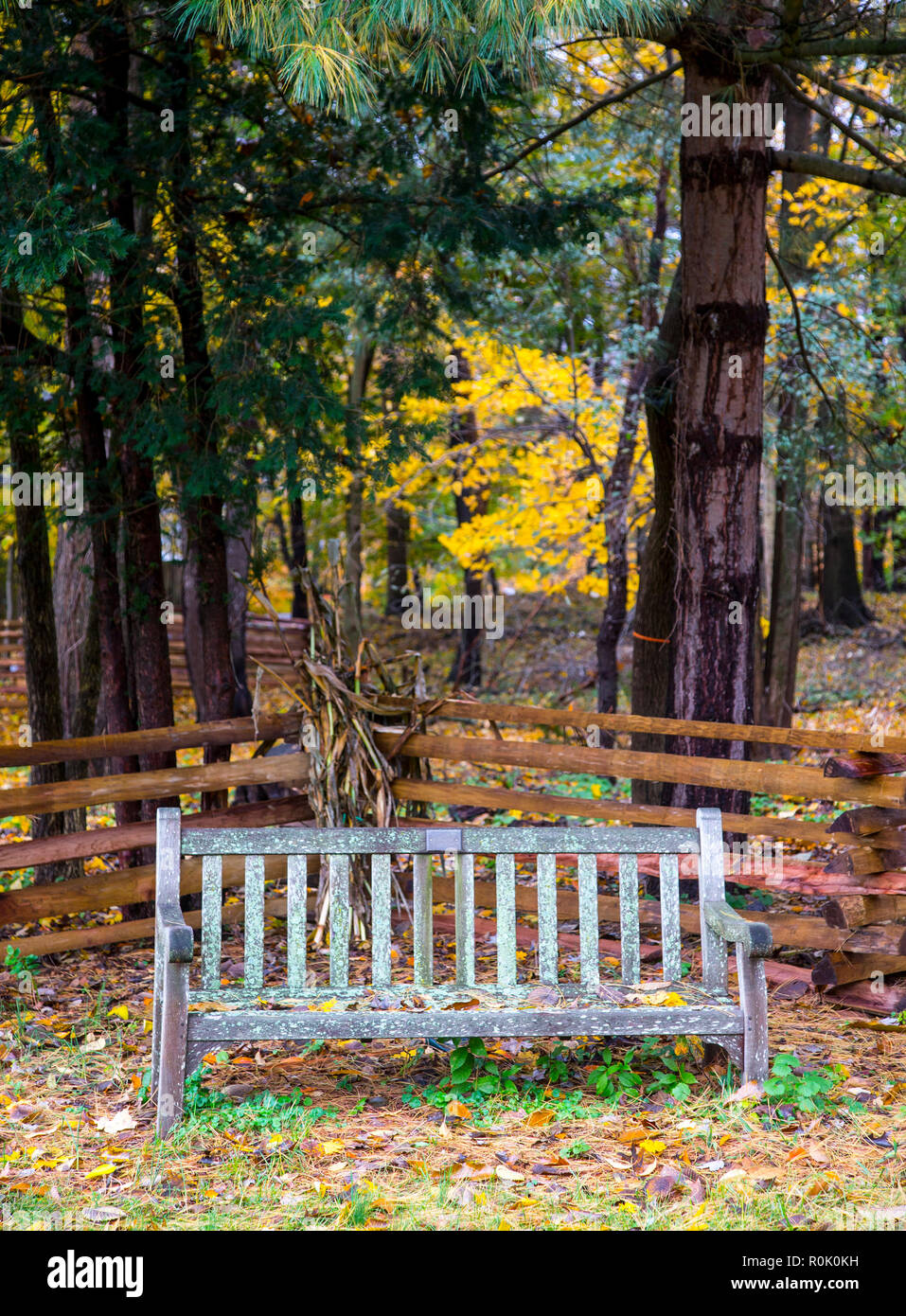 Wooden bench on a fall today Stock Photo - Alamy