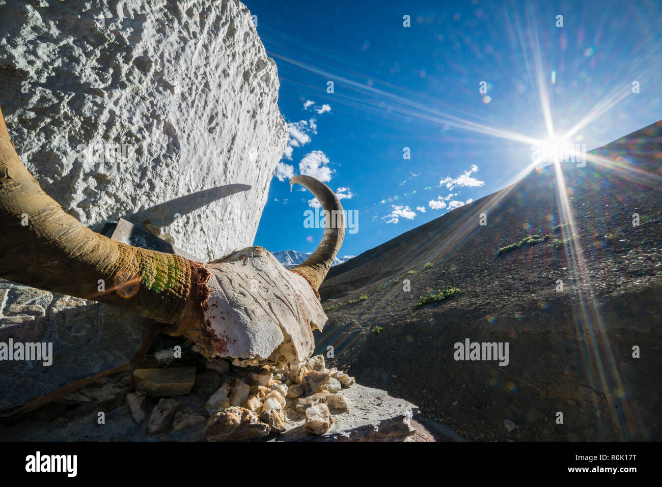 Sanskrit mantra hi-res stock photography and images - Alamy