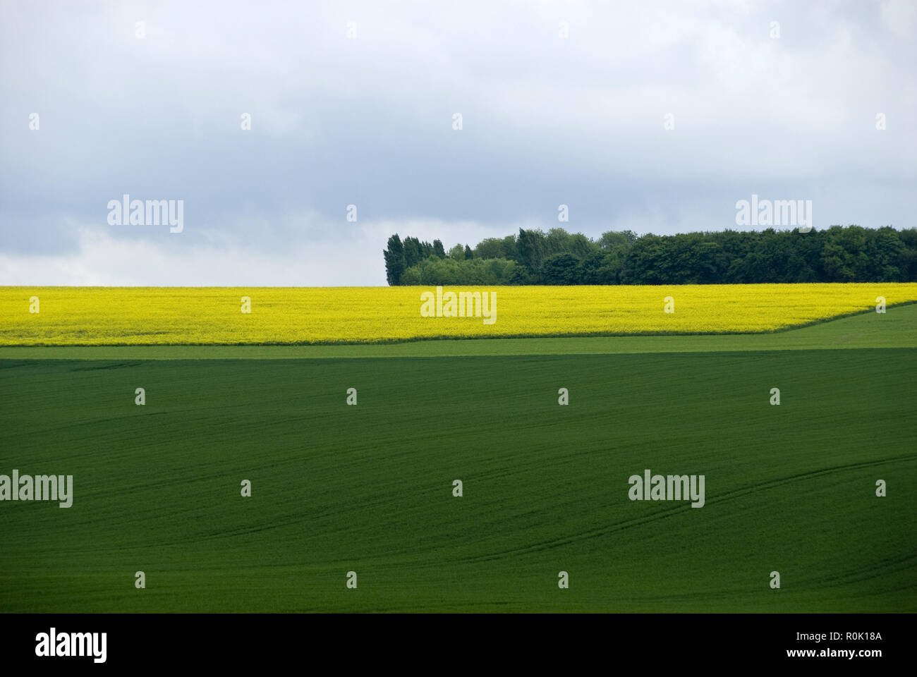 Battlefields during the World War One Battle of the Somme near the ...