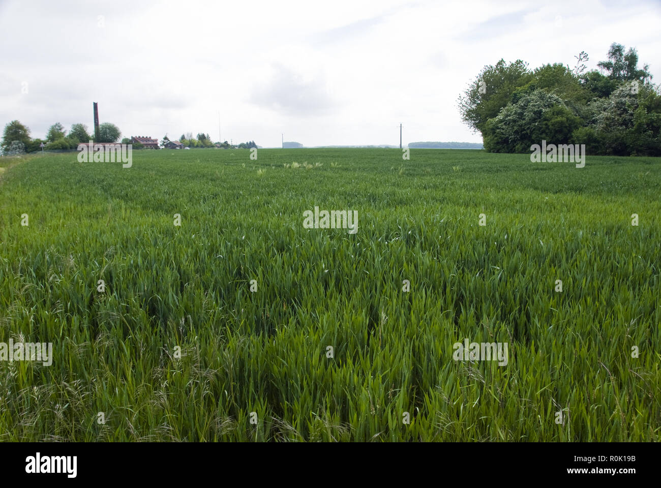 Field where World War One flying ace Manfred von Richthofen, known as ...
