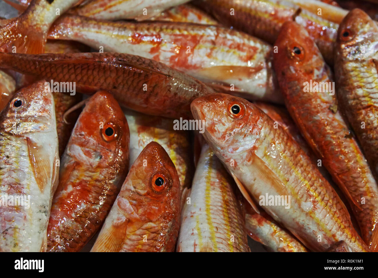 fish in the market Stock Photo - Alamy