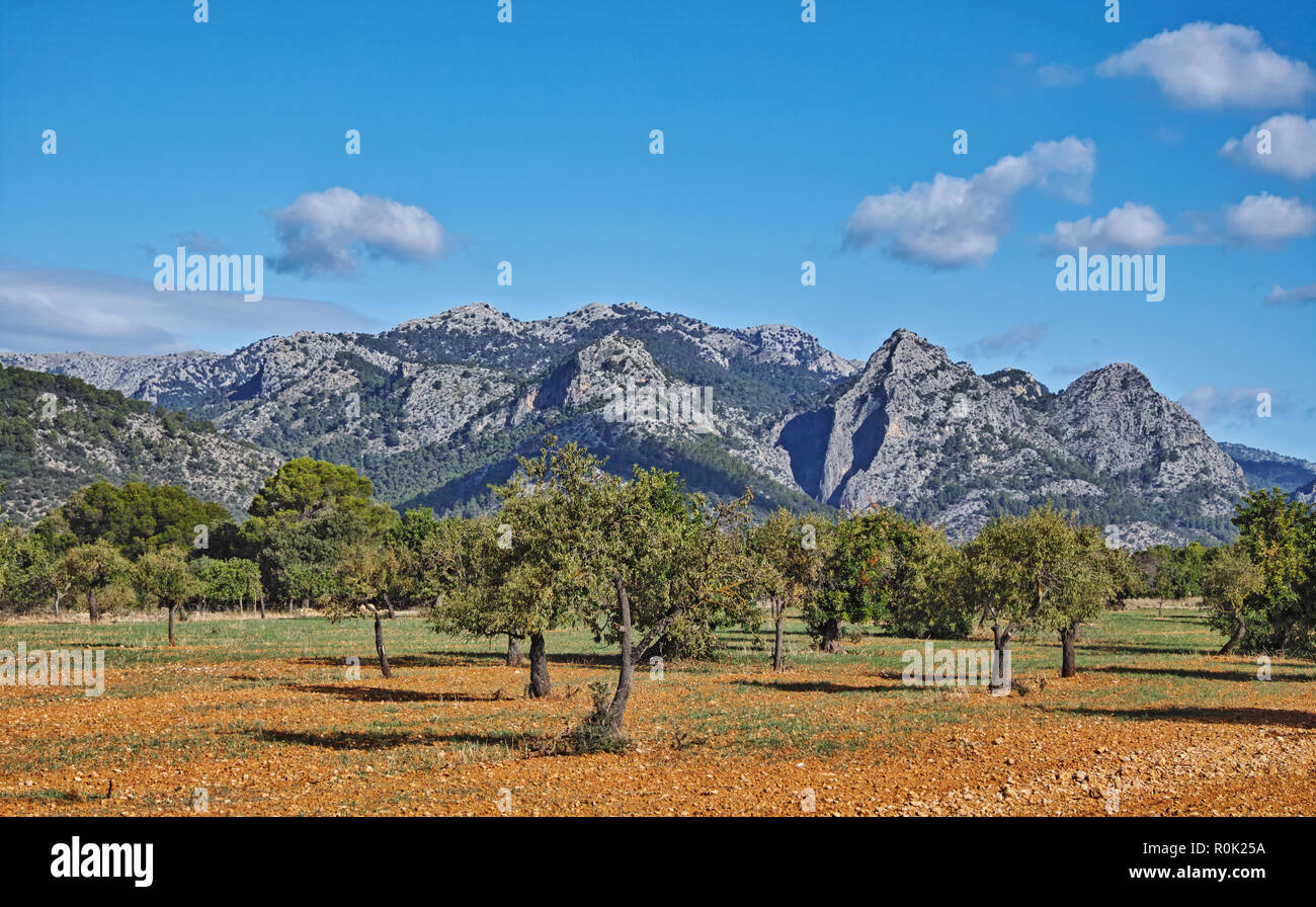 Turist mallorca hi-res stock photography and images - Alamy