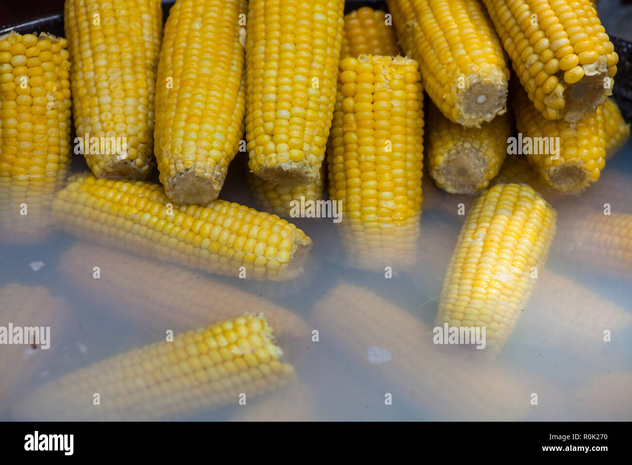 Color image of some boiled corn cobs, in water Stock Photo - Alamy