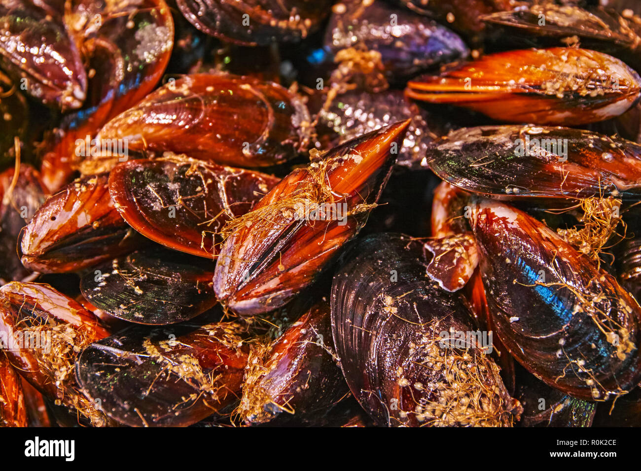 Rote muscheln hi-res stock photography and images - Alamy