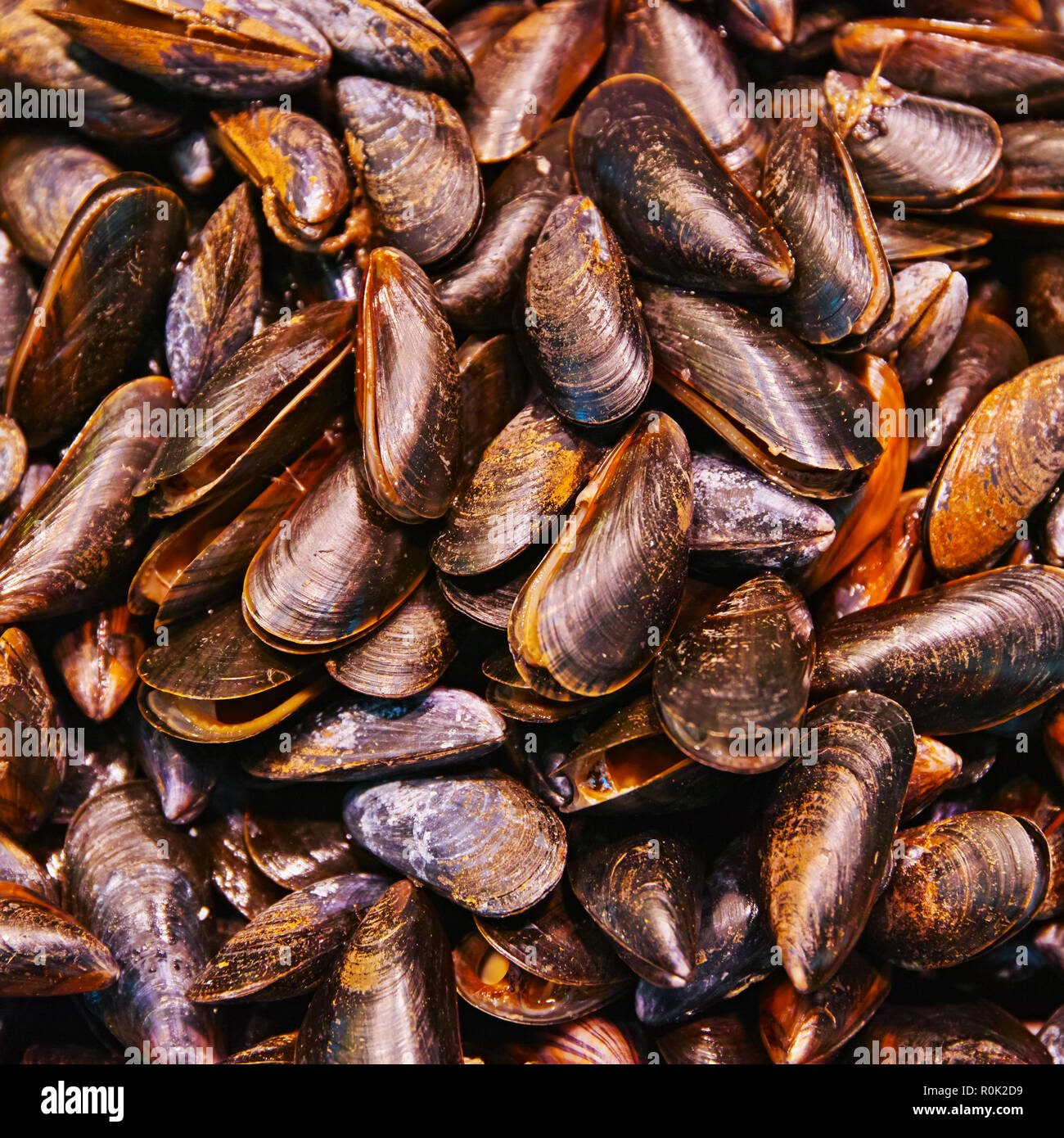 Shellfish food hi-res stock photography and images - Alamy