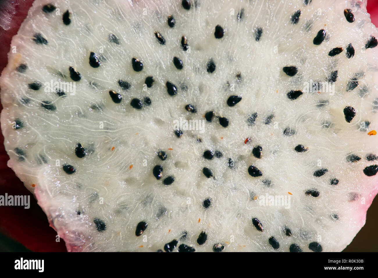 Close up of Dragon fruit. The dragon fruit is cultivated in Southeast ...