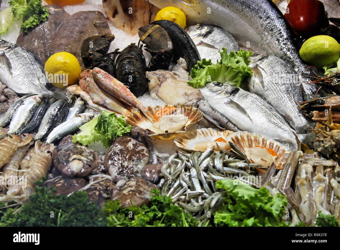Shells at fish shop hi-res stock photography and images - Alamy