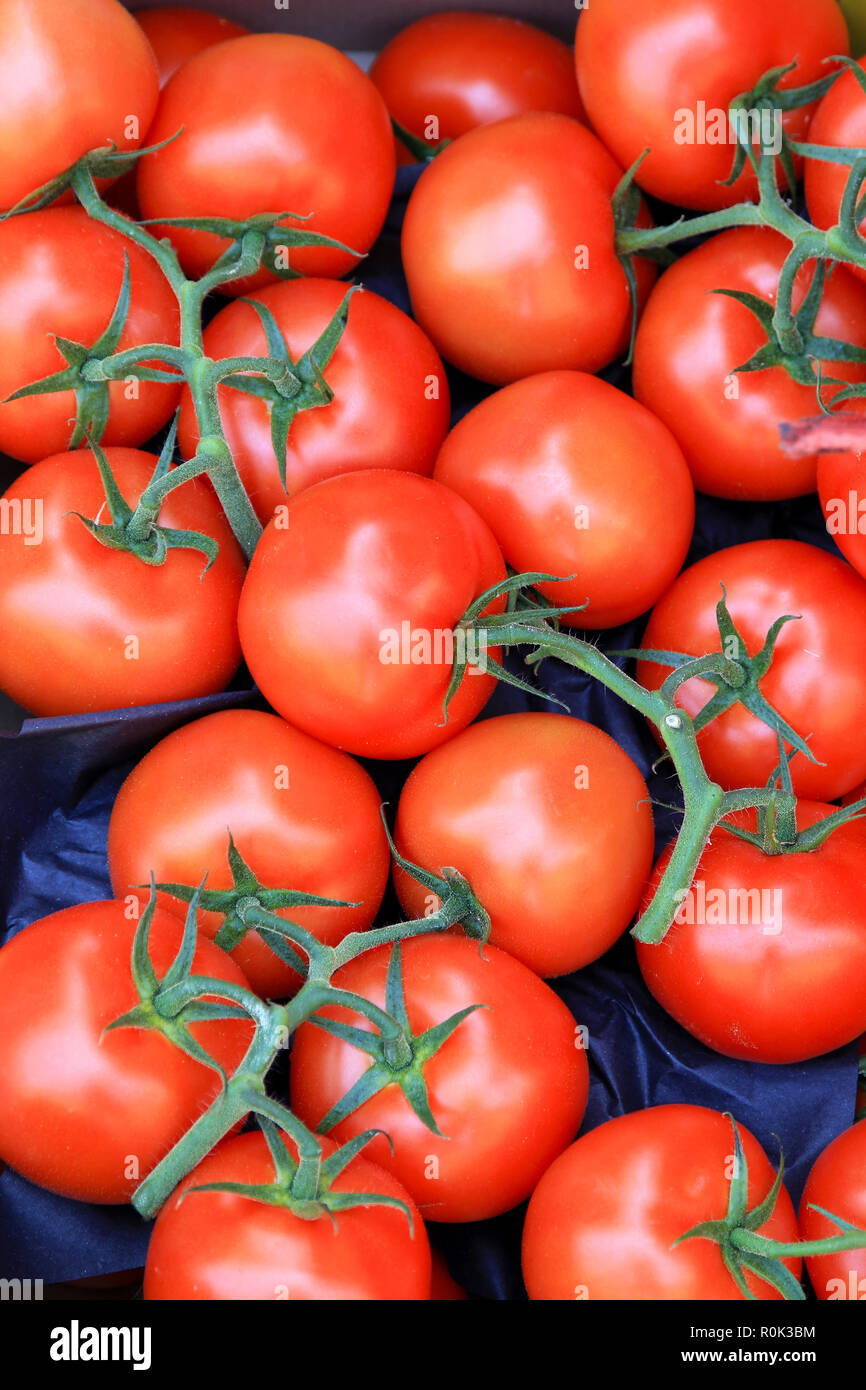 Natural organic tomato at vine in crate Stock Photo - Alamy