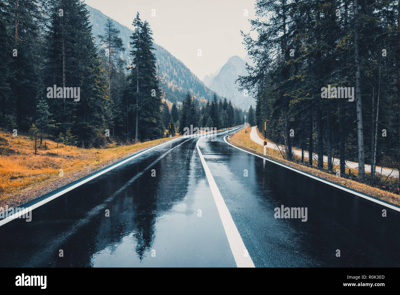 Road in the autumn forest in rain. Perfect asphalt mountain road in ...