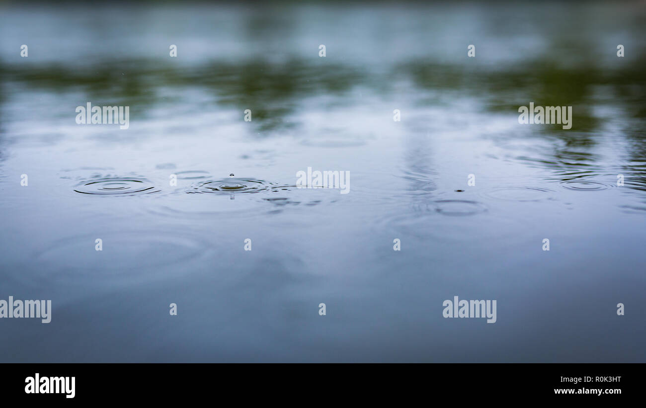 Rain drops in the water, calm nature weather background Stock Photo - Alamy