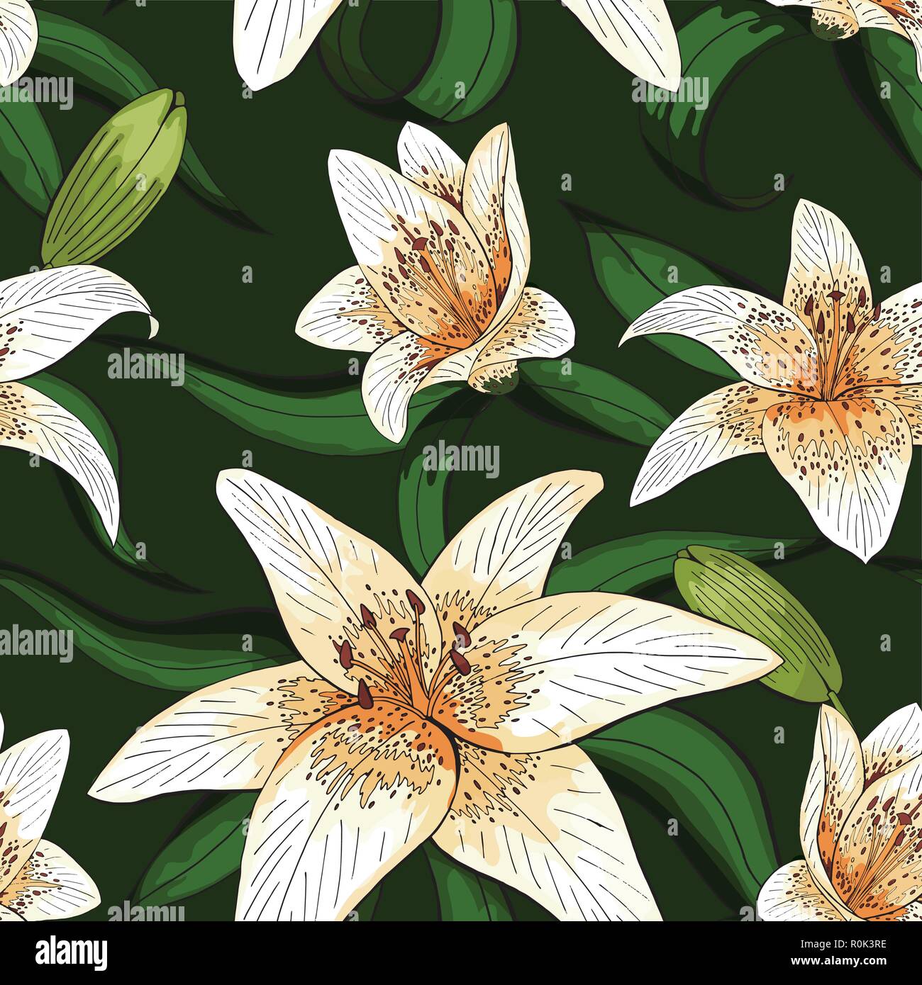 Tiger lily illustration Stock Vector Images - Alamy