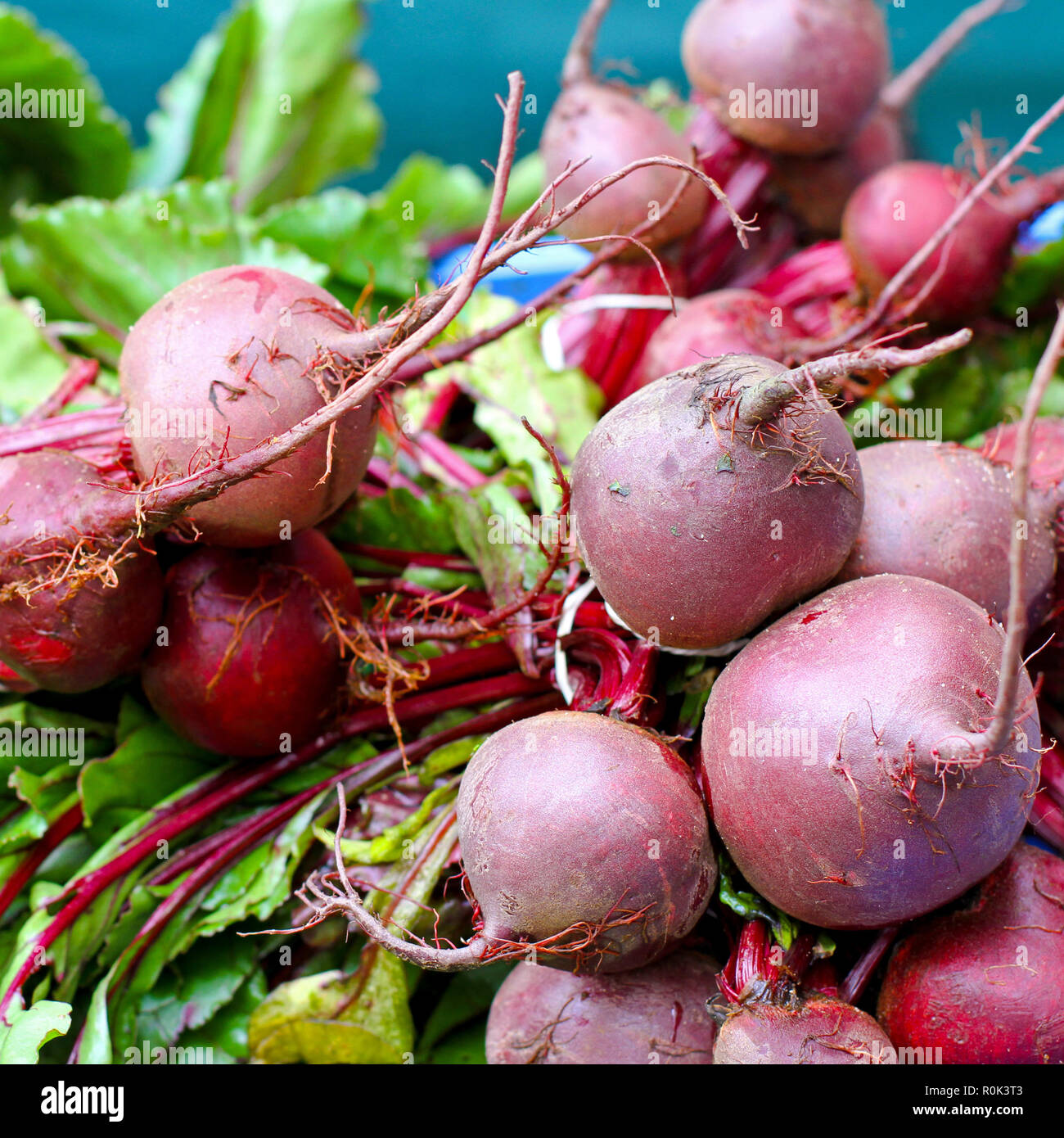 Big pile of fresh organic beetroot assortment Stock Photo - Alamy
