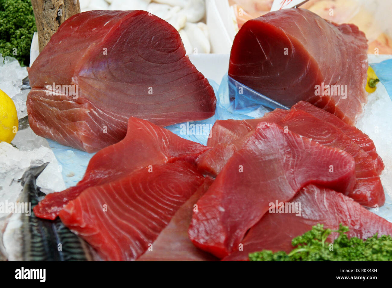 Raw fillets of yellow fin tuna meat Stock Photo - Alamy