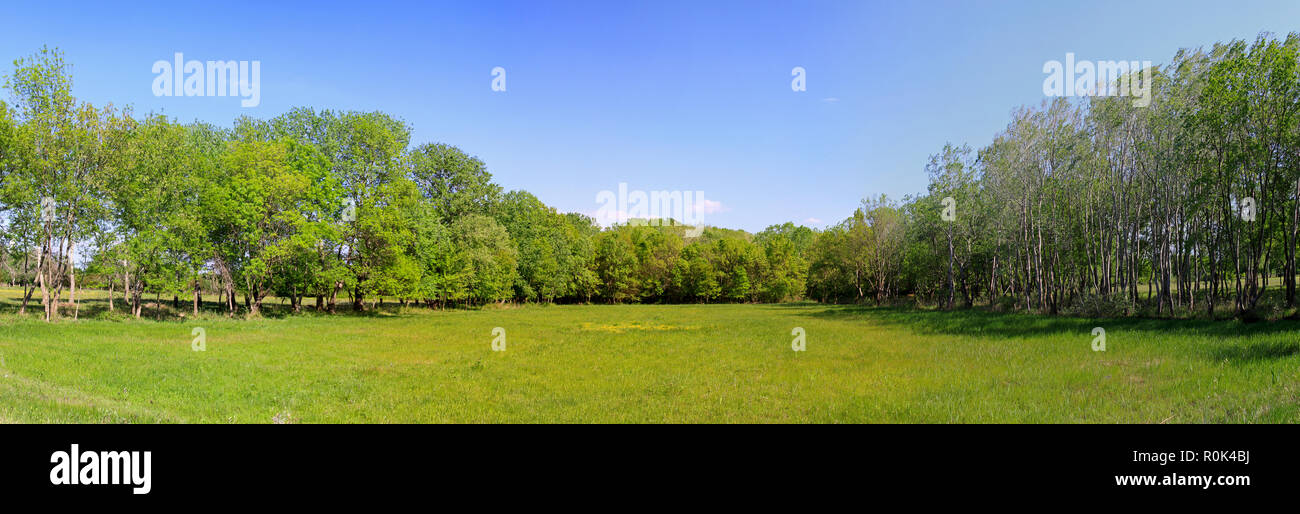 Empty green meadow field surrounded with forest Stock Photo - Alamy