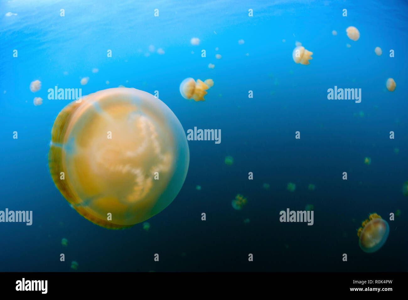 Kakaban hi-res stock photography and images - Alamy