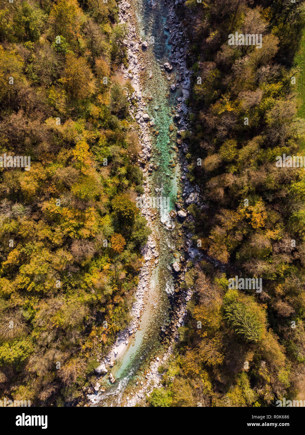 Colorful forest in Soca river valley,aerial drone view, Slovenia Stock ...