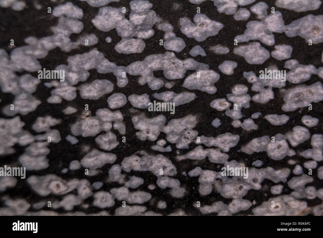 Snowflake obsidian stone, texture background Stock Photo - Alamy