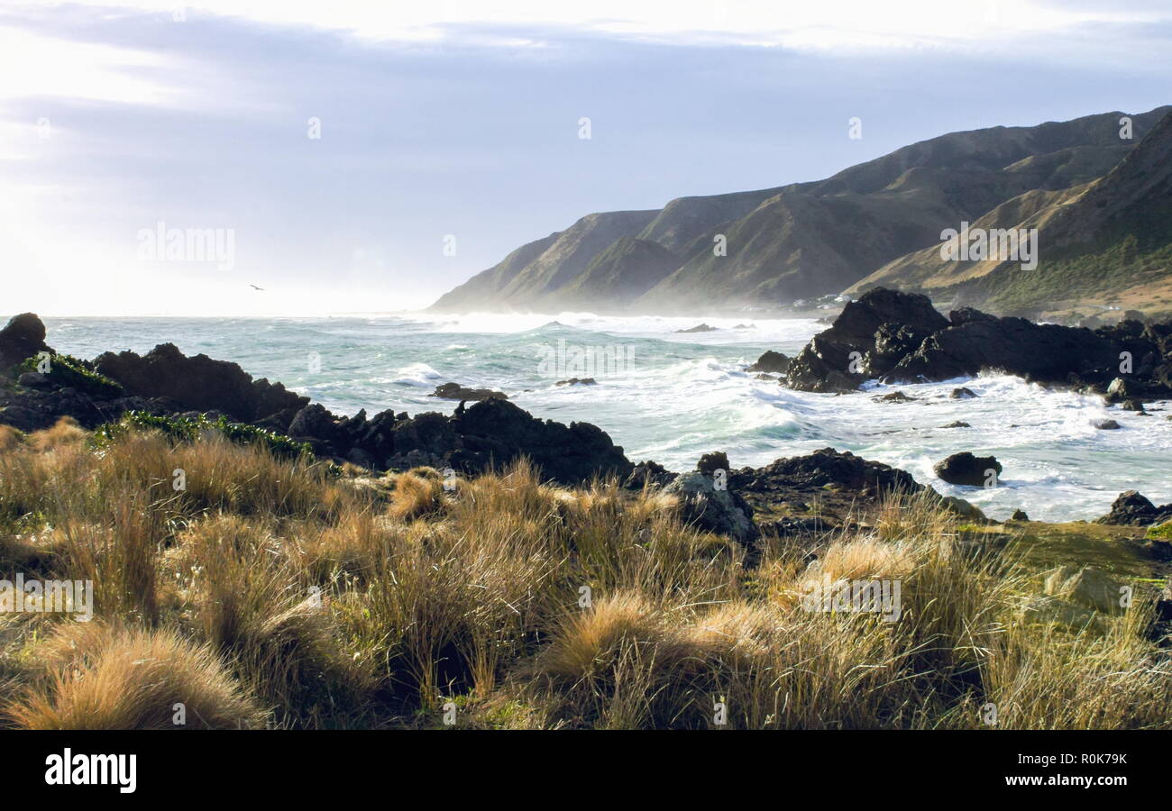 landscape image of the rocky coastal terrain of Cape Palliser, New ...