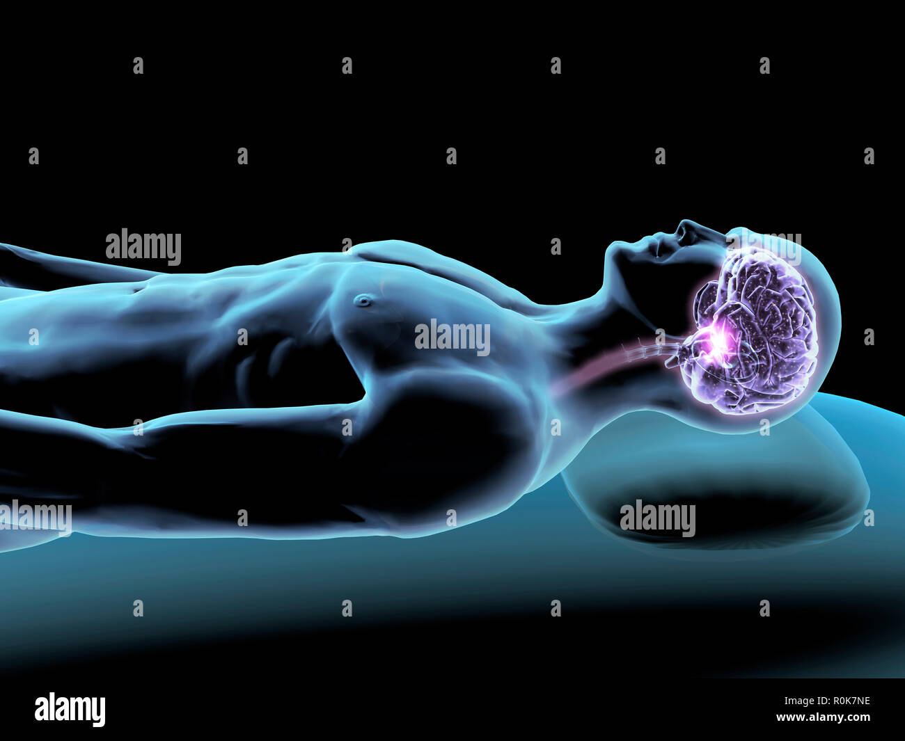 Human anatomy illustration lying down hi-res stock photography and ...