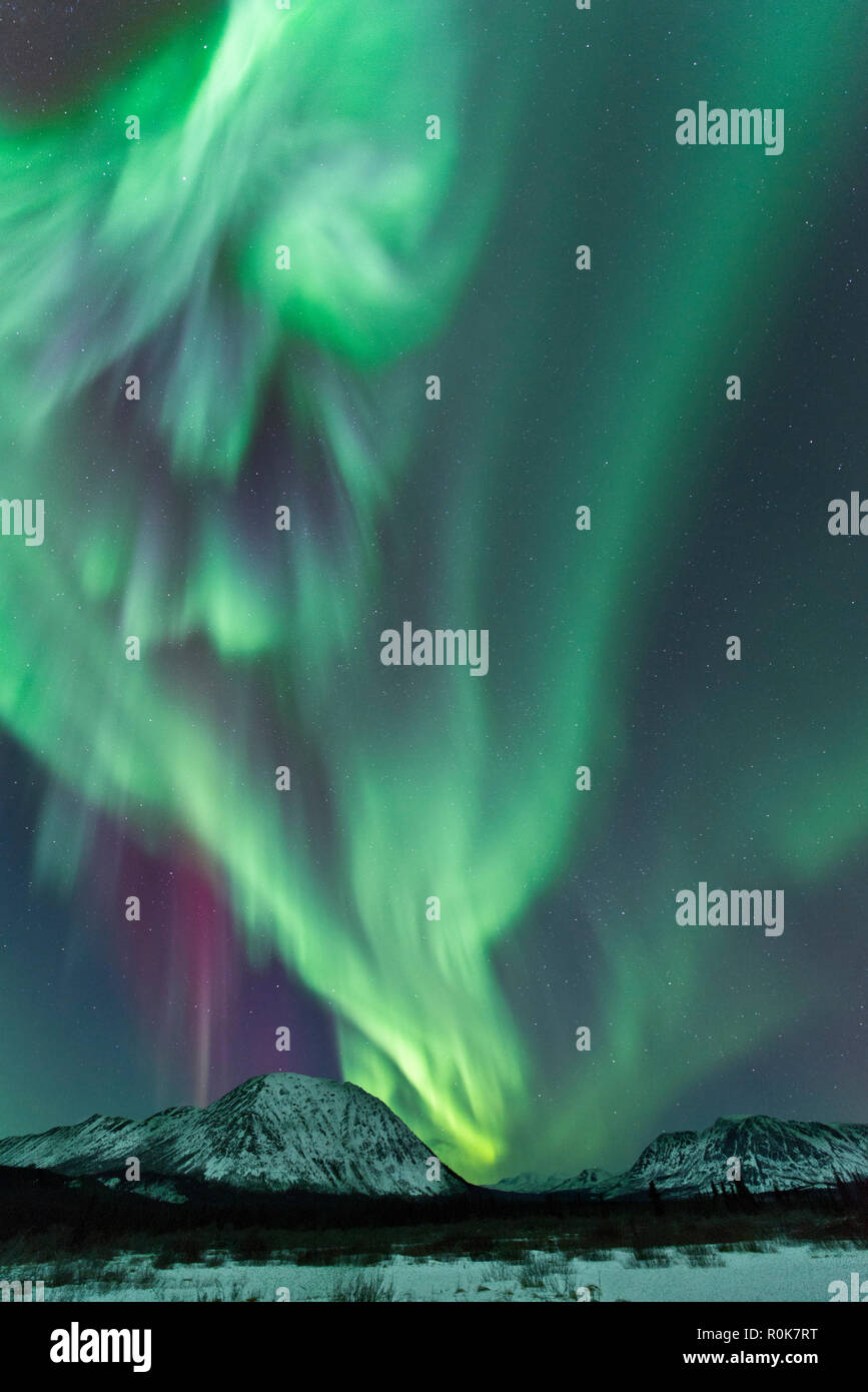 Northern lights, Annie Lake, Yukon, Canada Stock Photo - Alamy