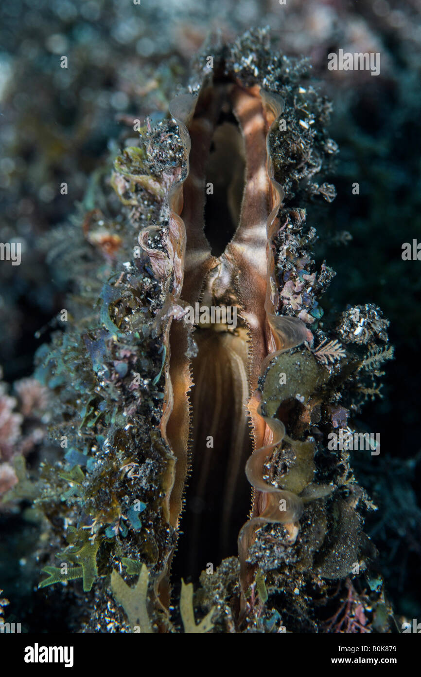 Bombilla hi-res stock photography and images - Alamy