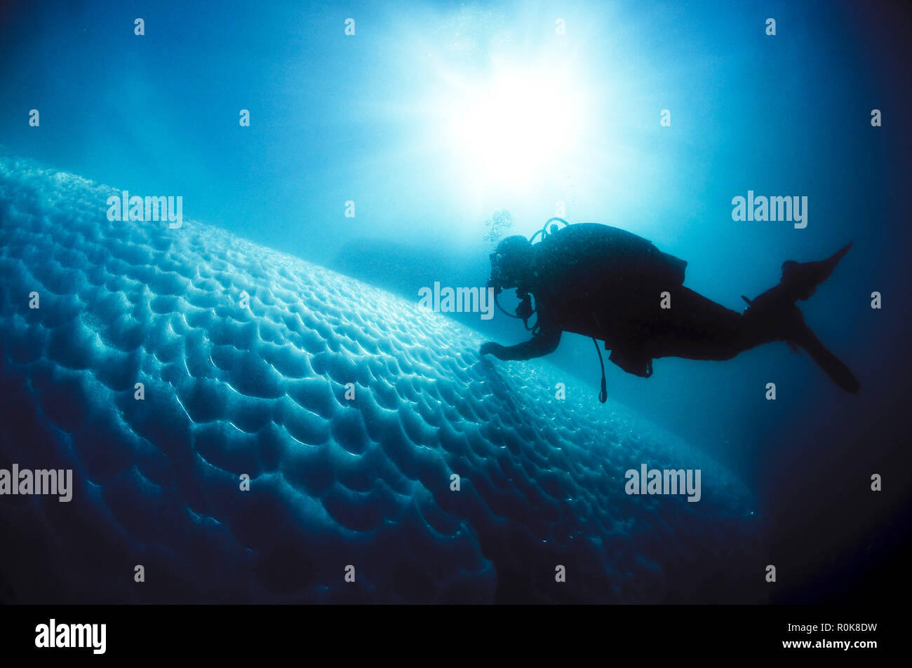 Iceberg underwater hi-res stock photography and images - Alamy