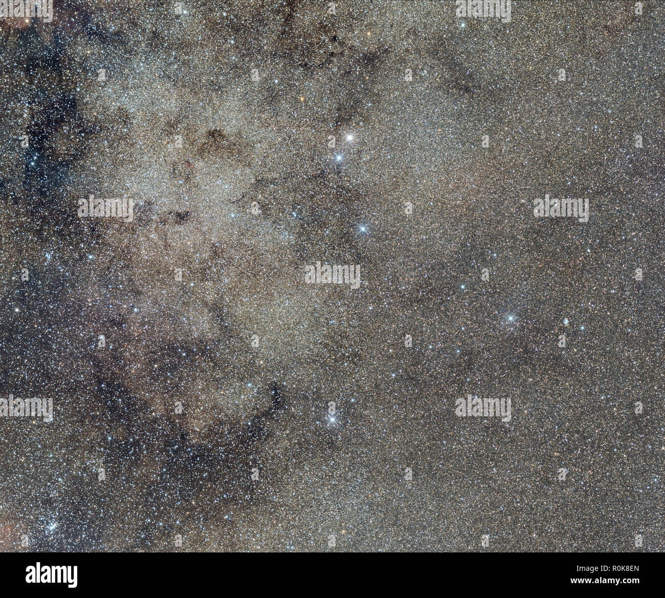 A starry field in the Milky Way around emission nebula Ced 122 Stock ...