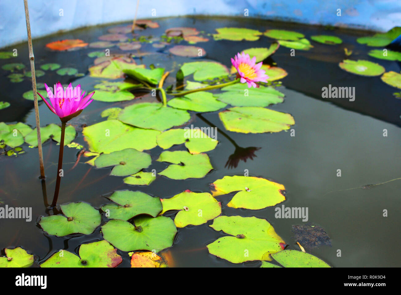 Archées hi-res stock photography and images - Alamy