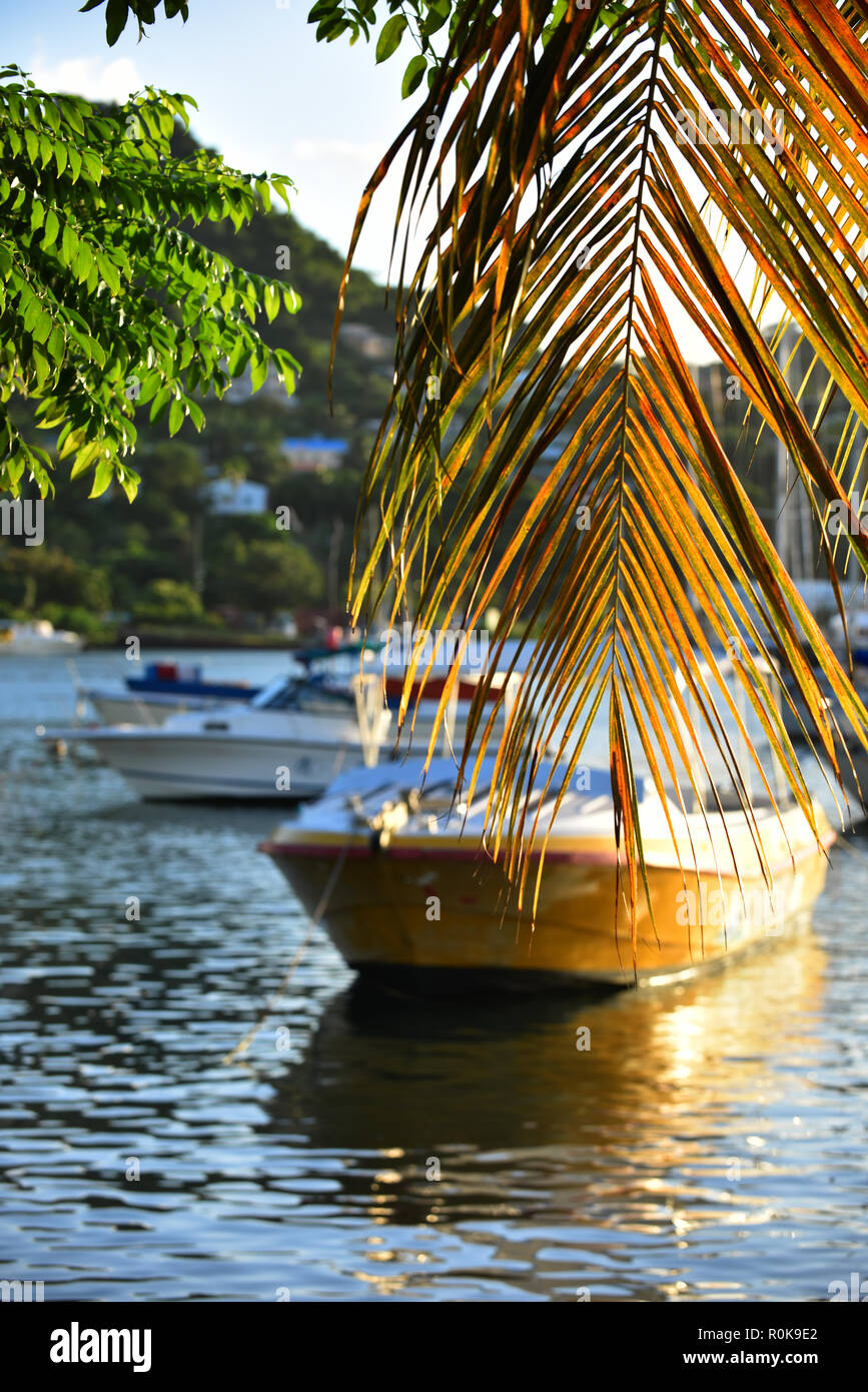 Sail boats anchored in the bay in St George's cruise port, capital of ...