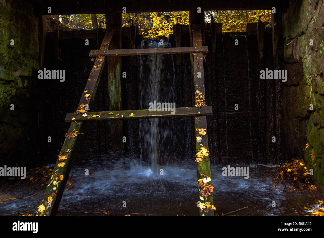yellow leaves autumn Ukraine Uman Sophia Park Stock Photo - Alamy