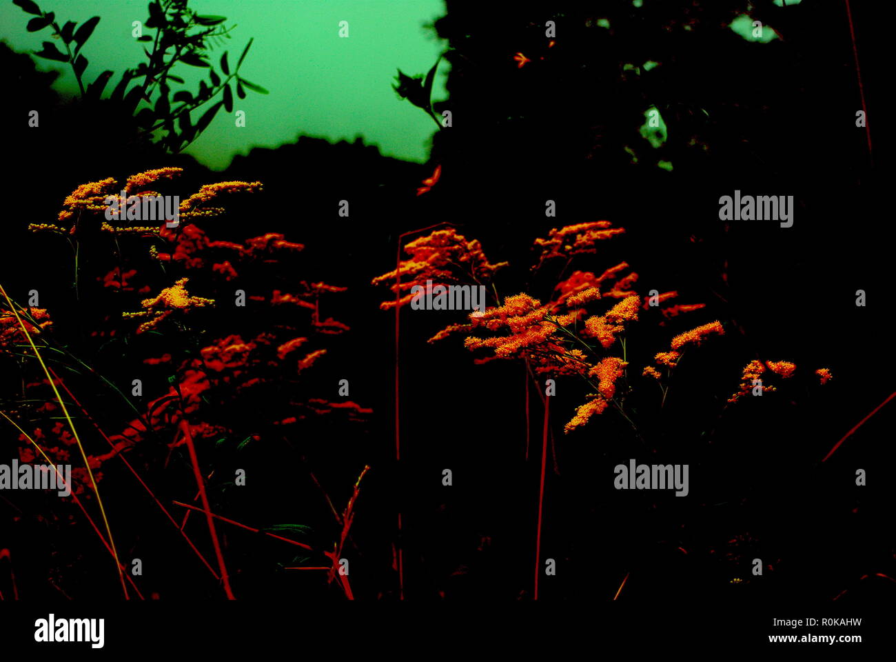 Mixed media neon hi-res stock photography and images - Alamy