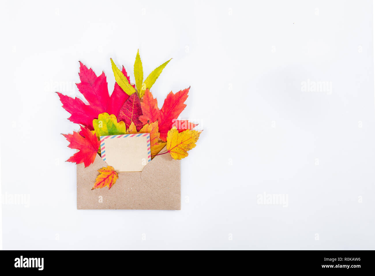 Top view flat lay autumn concept composition. Craft envelope with blank ...