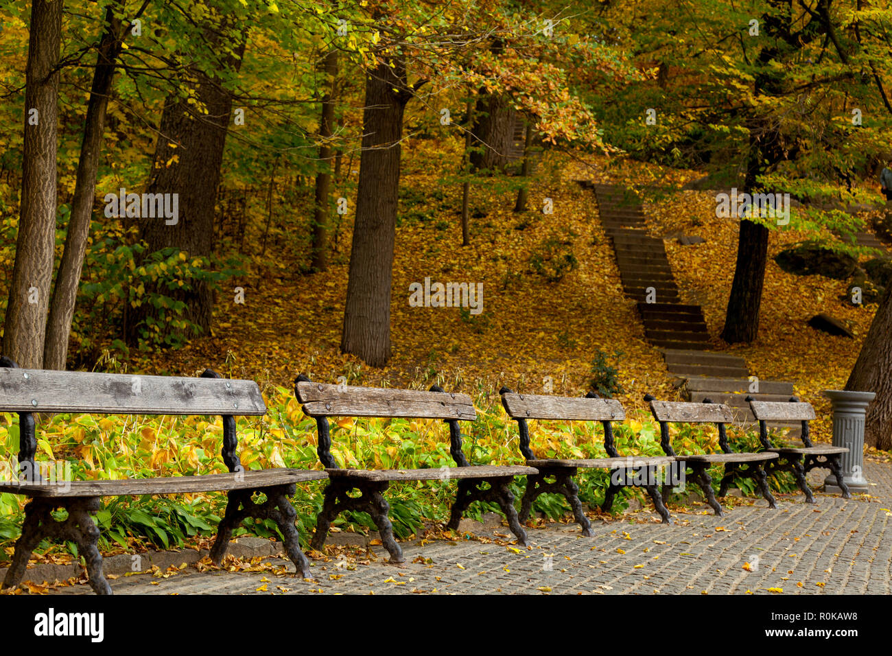 yellow leaves autumn Ukraine Uman Sophia Park Stock Photo - Alamy