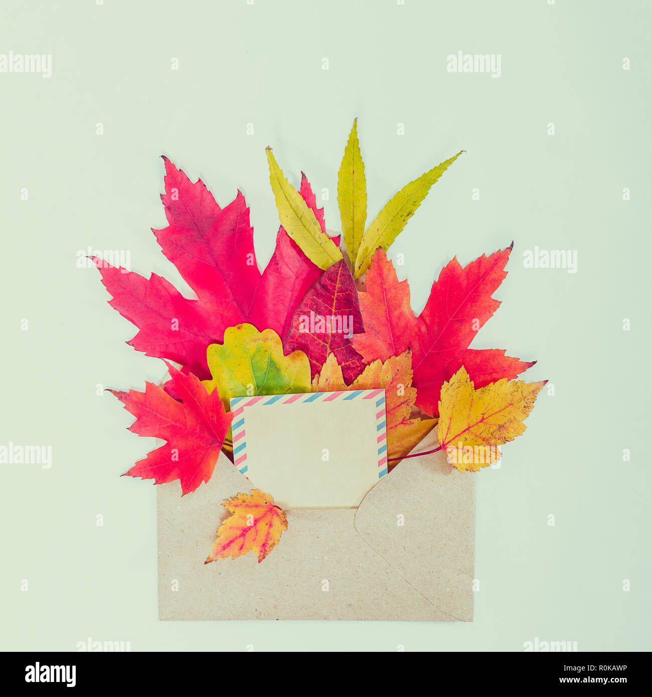 Top view flat lay autumn concept composition. Envelope with blank card ...