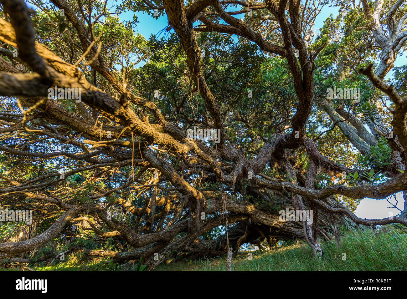 Old long island landscape hi-res stock photography and images - Alamy