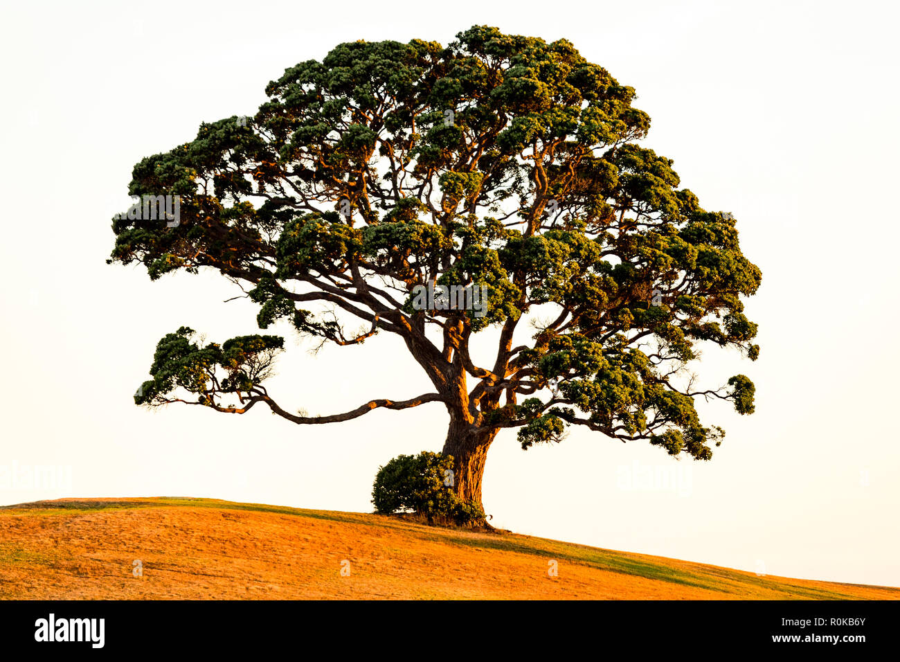 Old long island landscape hi-res stock photography and images - Alamy