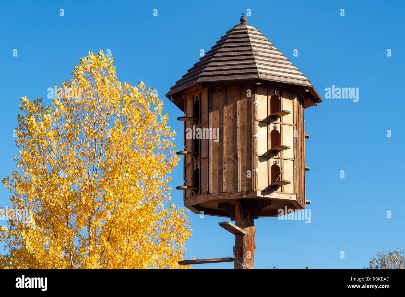 Pigeon loft roof hi-res stock photography and images - Alamy