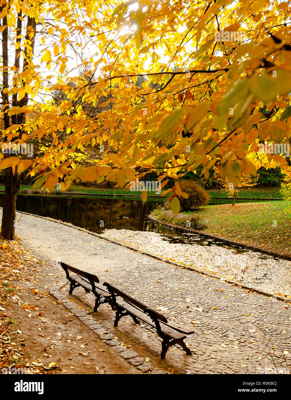yellow leaves autumn Ukraine Uman Sophia Park Stock Photo - Alamy