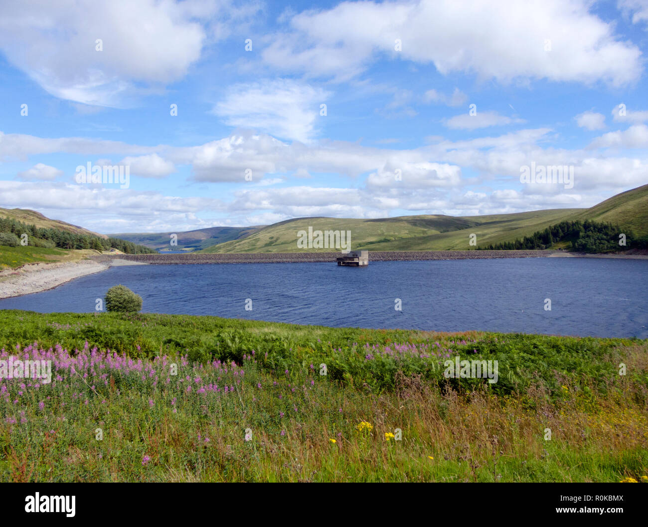 Megget reservoir borders county hi-res stock photography and images - Alamy