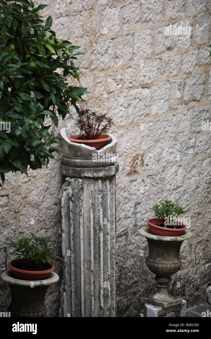 Italian Old World Courtyard