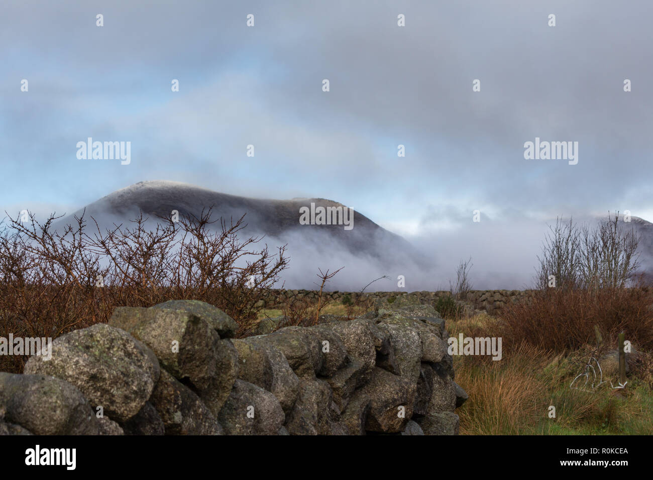 Low level mist hi-res stock photography and images - Alamy