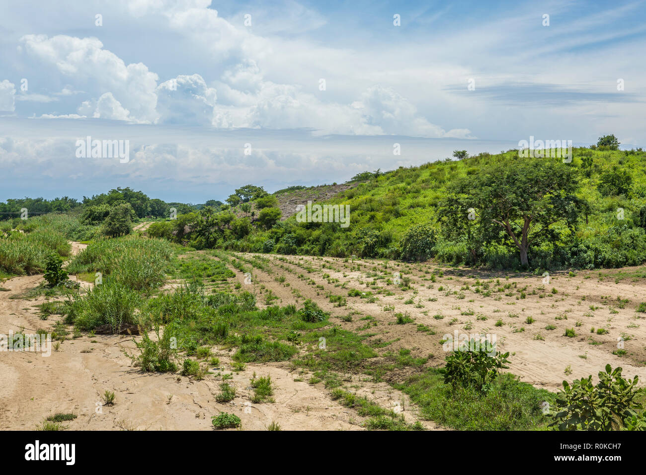 Dried up river bed viewed from a bridge, Guerrero State, Mexico Stock ...