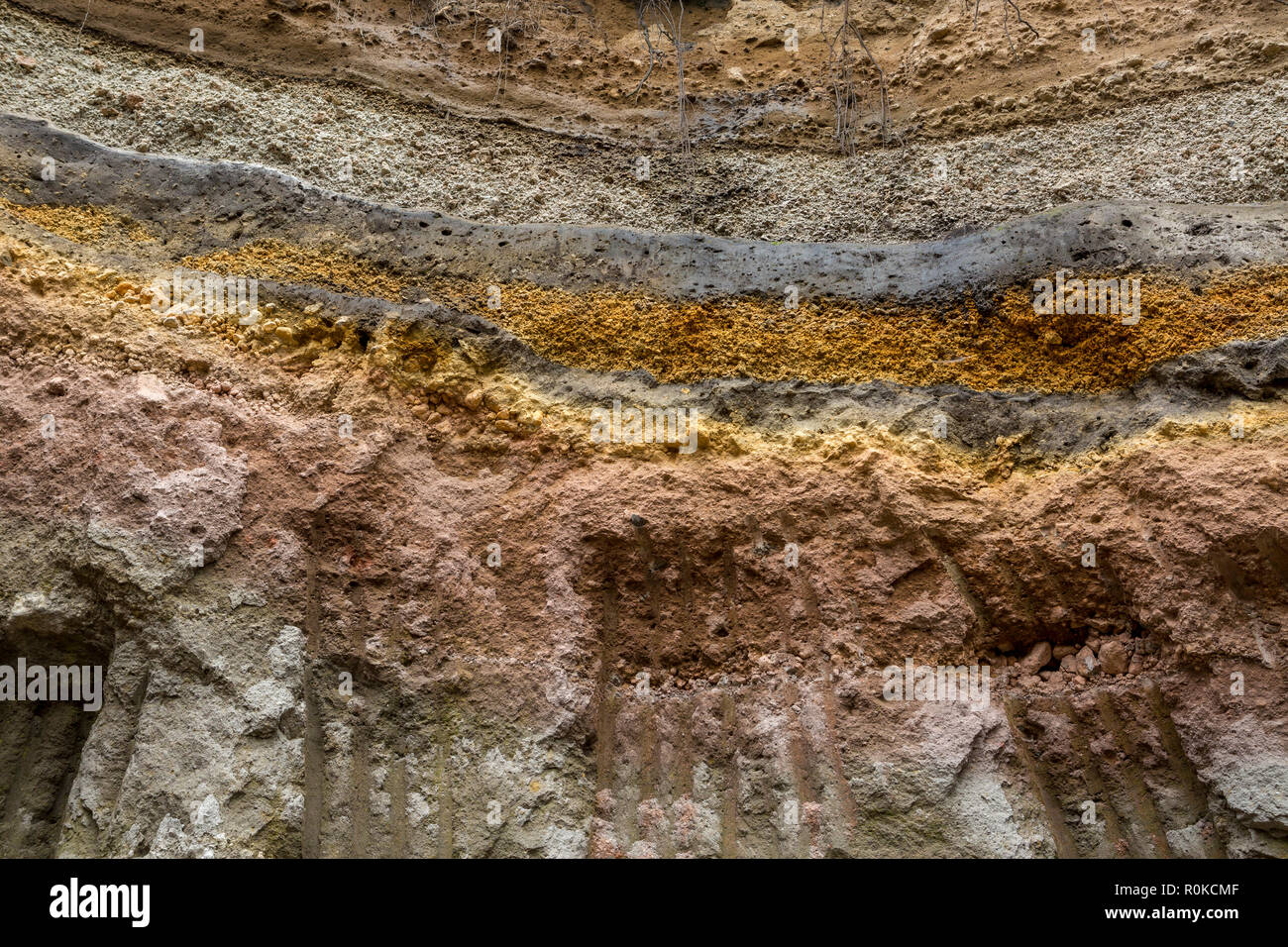 Layers of mixed volcanic sediments, Iztaccihuatl Popocatepetl National ...