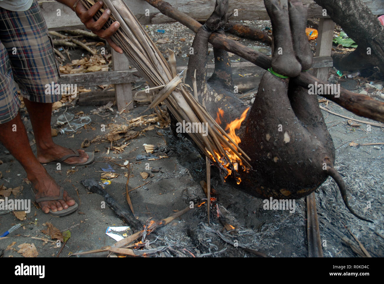 Man trying to start a fire to burn off the fur of a newly slaughtered ...