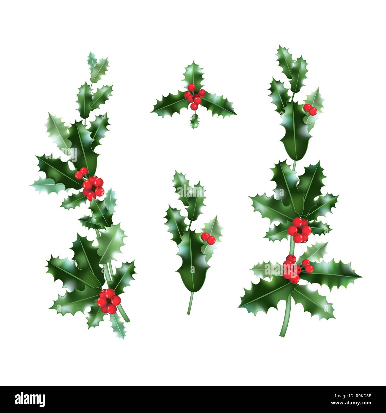 Holly branches Stock Vector Images - Alamy