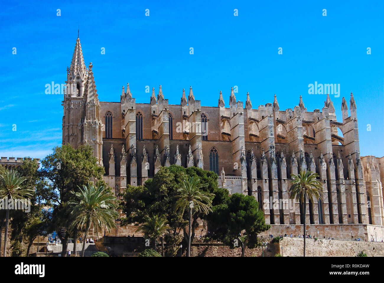 Majorca cathedral hi-res stock photography and images - Alamy