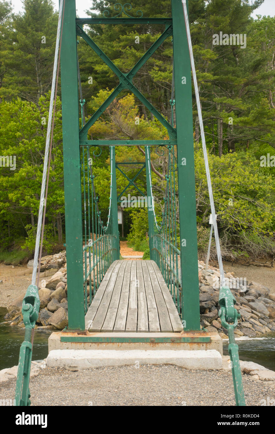 Wiggly trees hi-res stock photography and images - Alamy