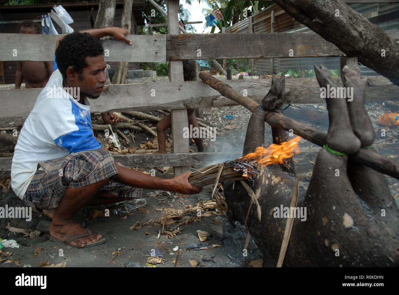 Man trying to start a fire to burn off the fur of a newly slaughtered ...